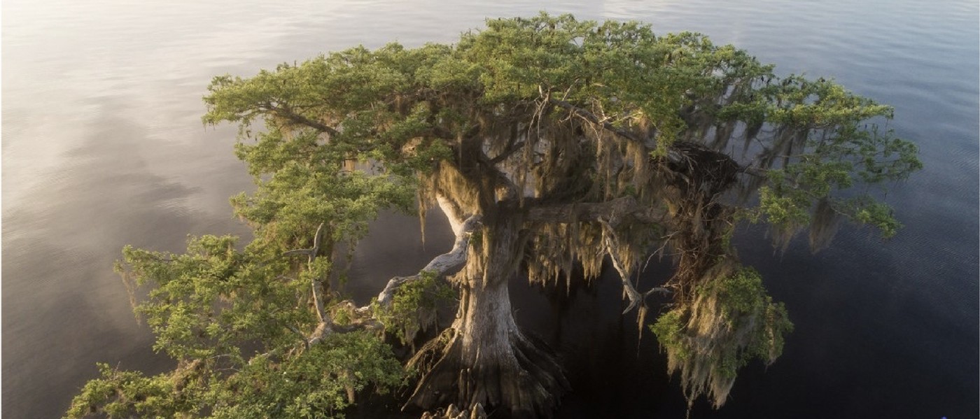 Start investing in private markets with ADDX